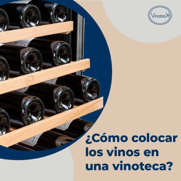 Aprende a colocar los vinos en una vinoteca correctamente